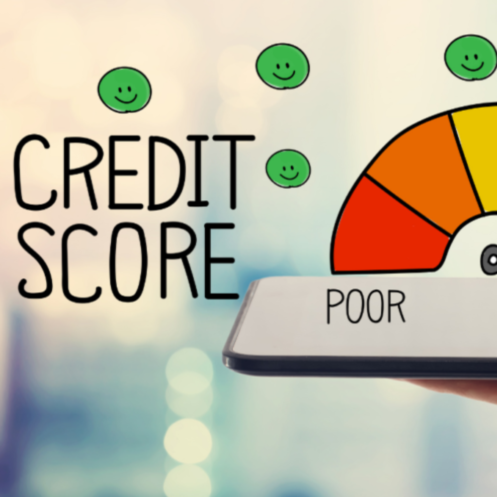 Financial Services – Credit Services 2021